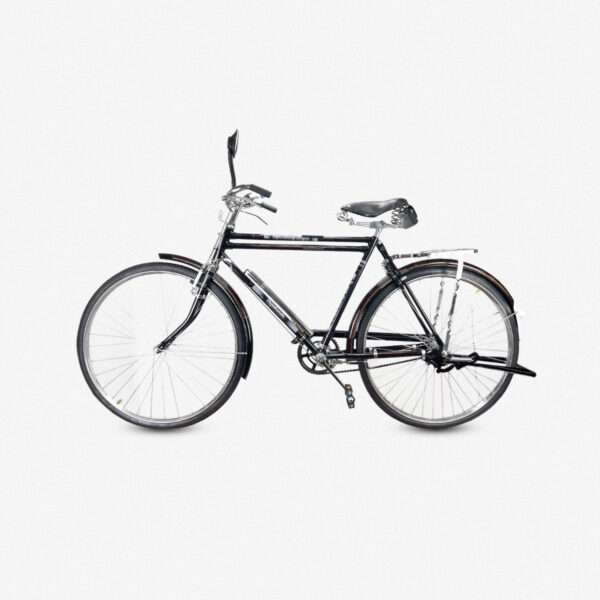 Bicicleta de Turismo Doble Barra - Mexbog Group
